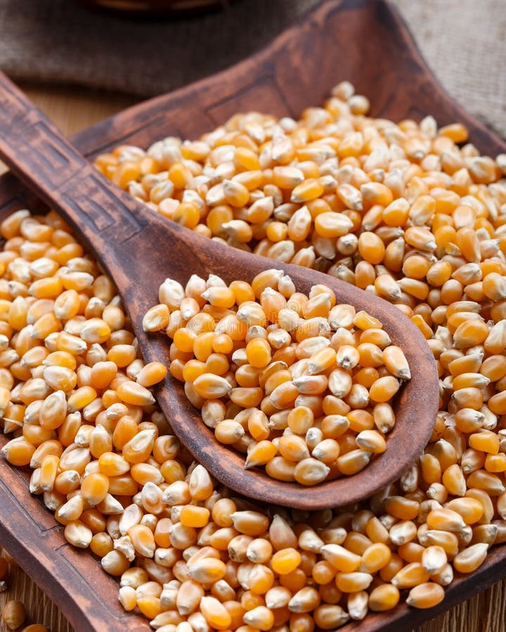 The raw popcorn stock photo. Image of natural, ripe, wooden - 56079614