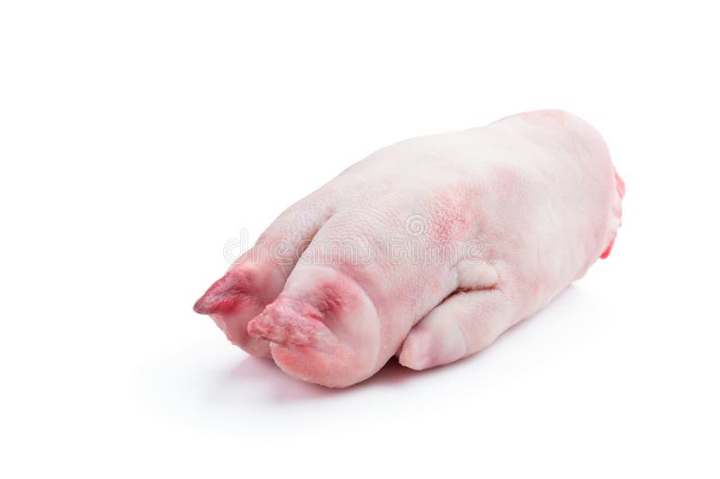 Raw Pork Leg on a White Background Stock Image - Image of food, foot ...