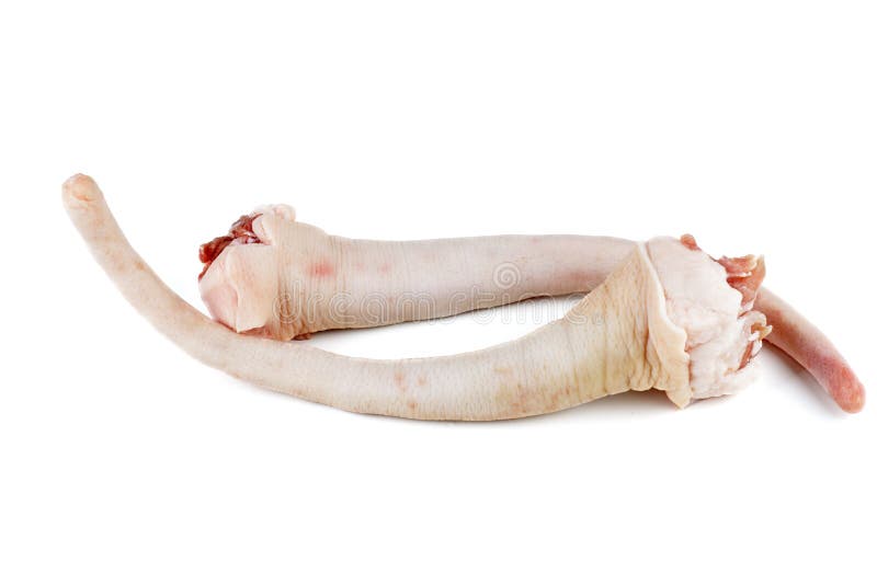 Raw Pig Tails Stock Photos - Free & Royalty-Free Stock Photos from ...
