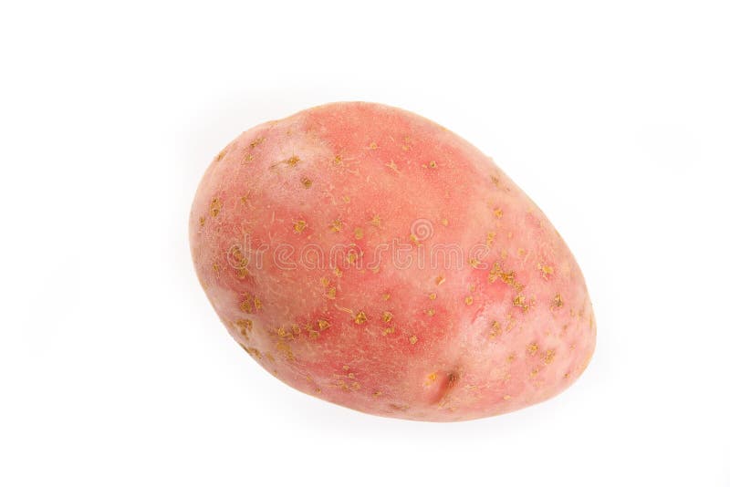 Raw potato stock image. Image of vegetarian, traditional - 10601751