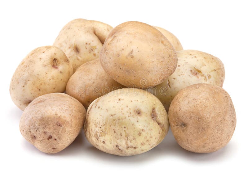Raw potato stock image. Image of ripe, potato, vegetable - 17803631