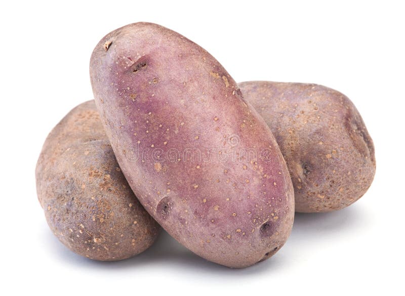 Raw potato stock photo. Image of ingredient, brown, horizontal - 18350818