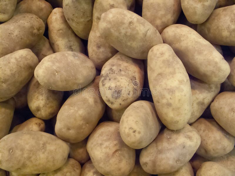 Raw potato stock photo. Image of ingredient, macro, organic - 16741534