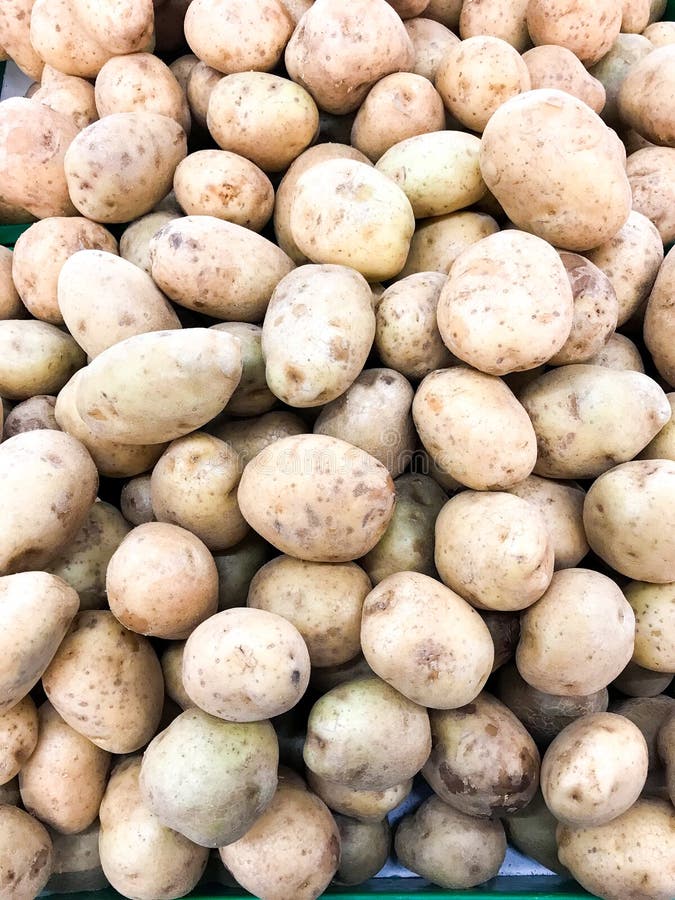 Raw potato pile stock photo. Image of round, burlap - 263410242