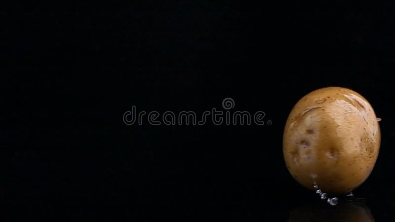 Potato spinning on a tray stock video. Video of spin - 219839999