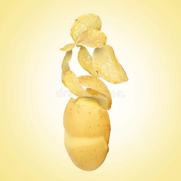 Raw Potato Turning into Tasty Crispy Chips in Air on Yellow Gradient ...