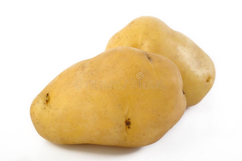 Raw potato on white stock photo. Image of protein, food - 44376996