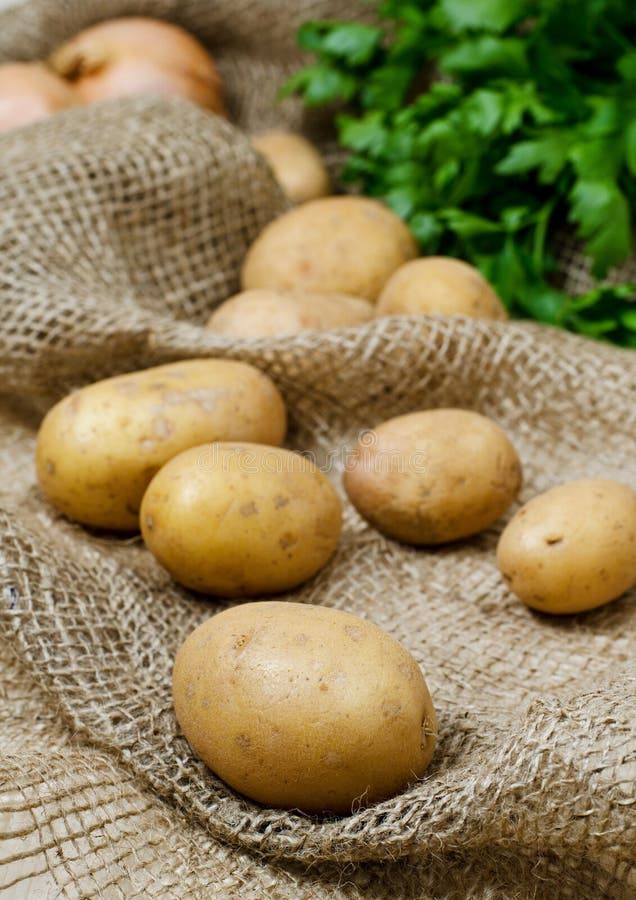Potato stock photo. Image of ingredient, potato, nutrition - 57950516
