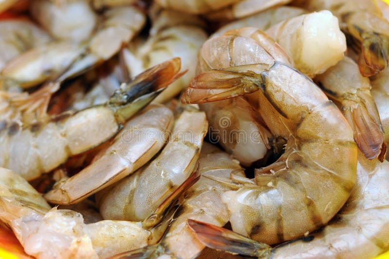 Raw prawn stock photo. Image of prawn, shrimp, seafood - 28360870