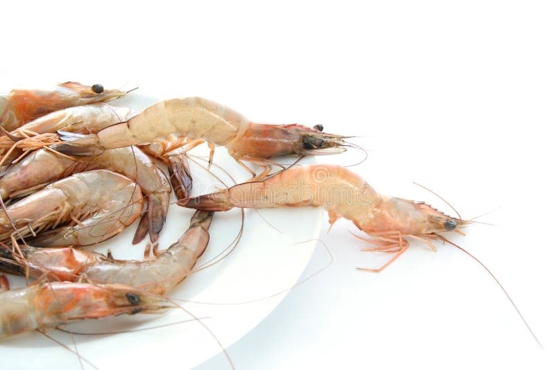 Raw Prawn Picture. Image: 5076543