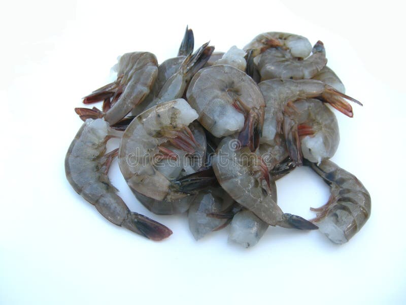 Raw prawns stock image. Image of caught, seafood, life - 17040161