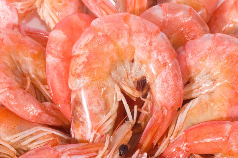 Raw prawns background stock photo. Image of healthy, dinner - 25871676