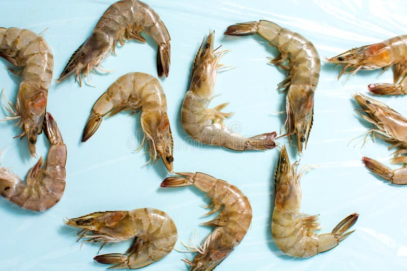 Raw Prawns Flat Lay Top View Stock Photo - Image of ingredient, prawn ...