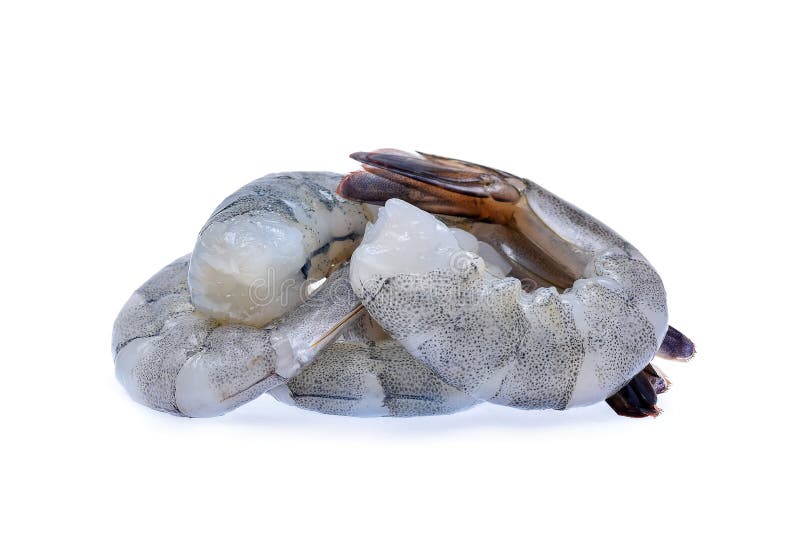 Raw Prawns Isolated on White Background Stock Photo - Image of meal ...