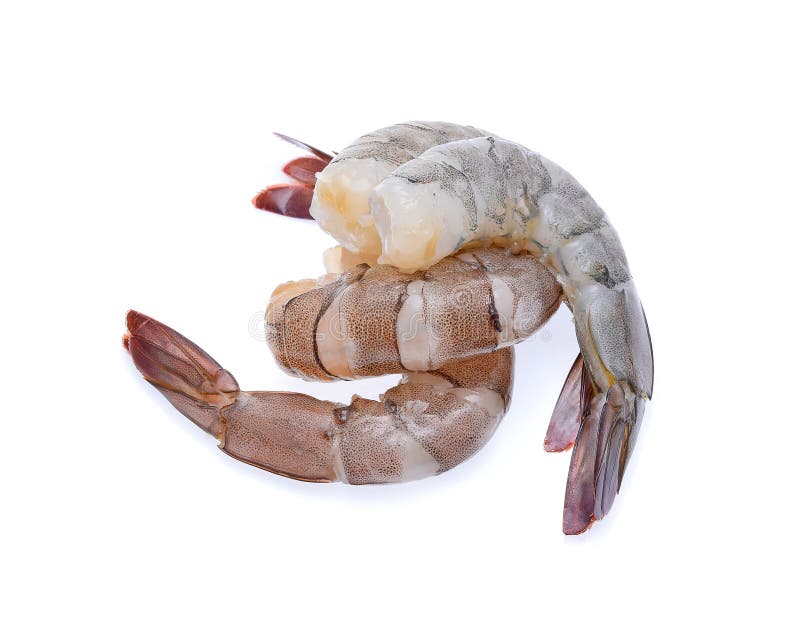 136 Prawns Alive Photos - Free & Royalty-Free Stock Photos from Dreamstime