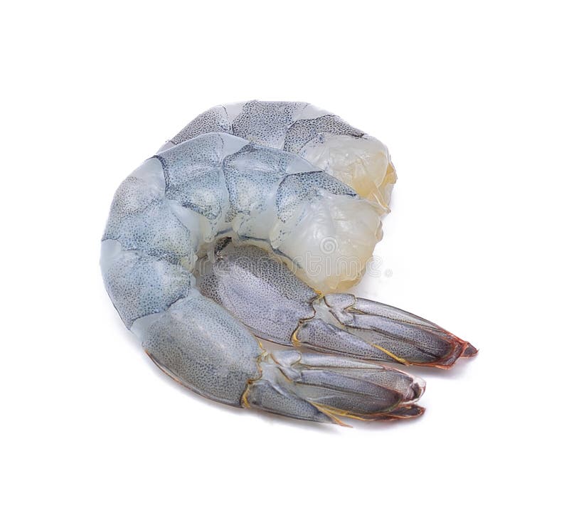 Raw Prawns Isolated on White Background Stock Image - Image of healthy ...