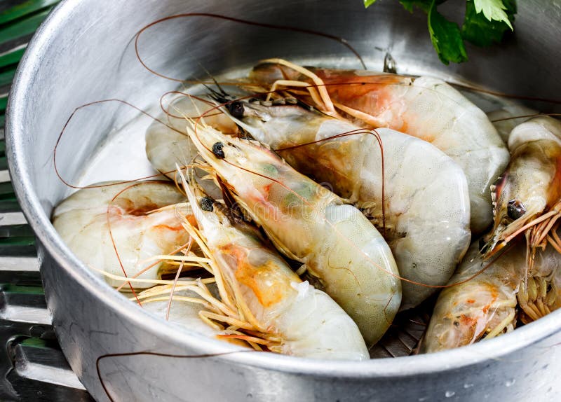 Raw prawns ready to cook 4 stock image. Image of group - 33363259