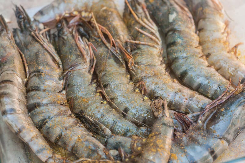 Raw Prawns with Spices in a Plate Stock Photo - Image of shellfish ...