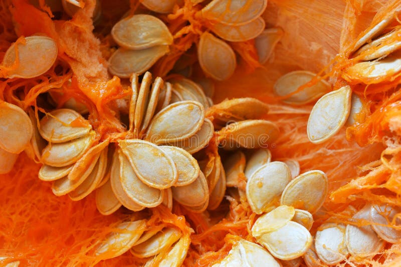 Raw Pumpkin Seeds stock photo. Image of freshness, inside - 161111714