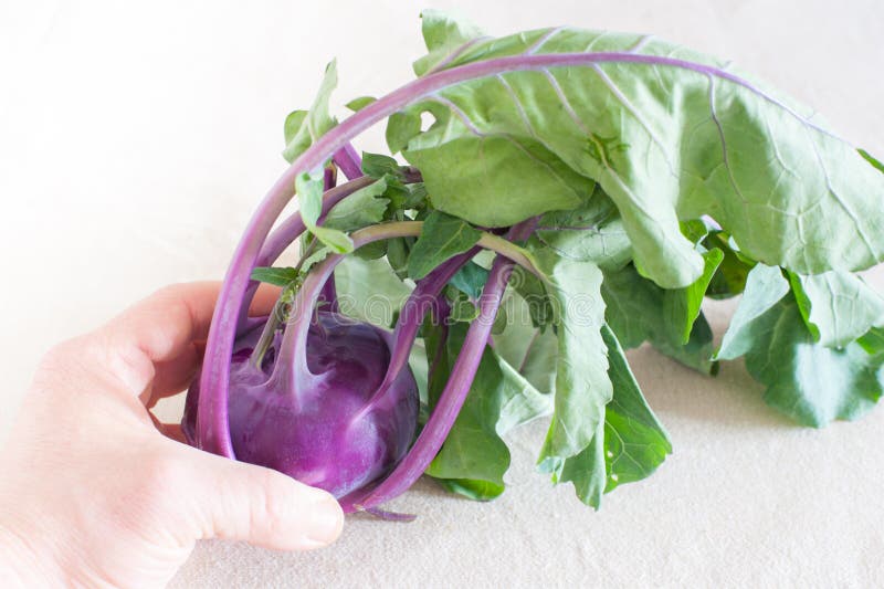 Human Hand Fine Tuning Levels On Professional Audio Equipment Stock ...