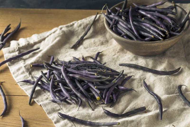 Raw Purple Organic String Beans Stock Image - Image of edible, green ...