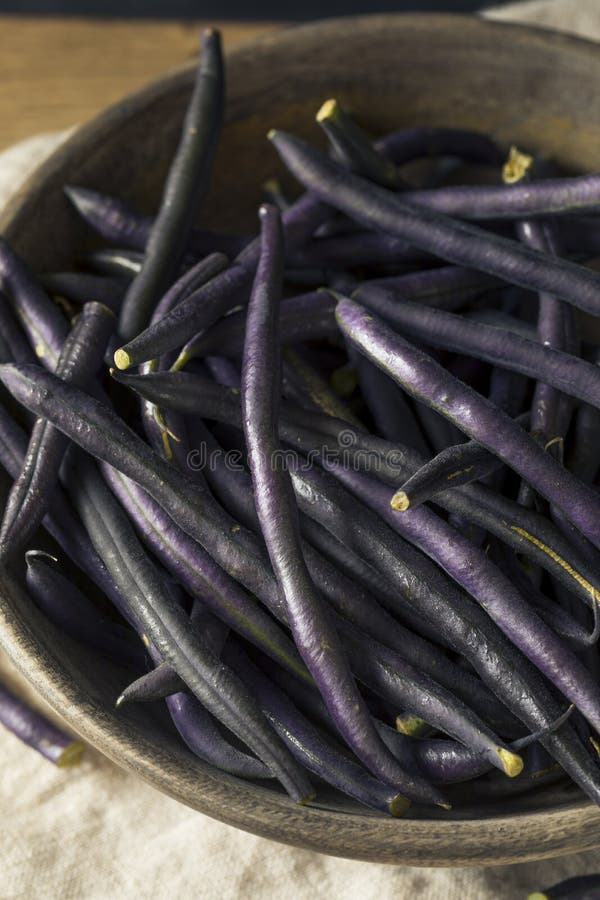 Raw Purple Organic String Beans Stock Image - Image of agriculture ...