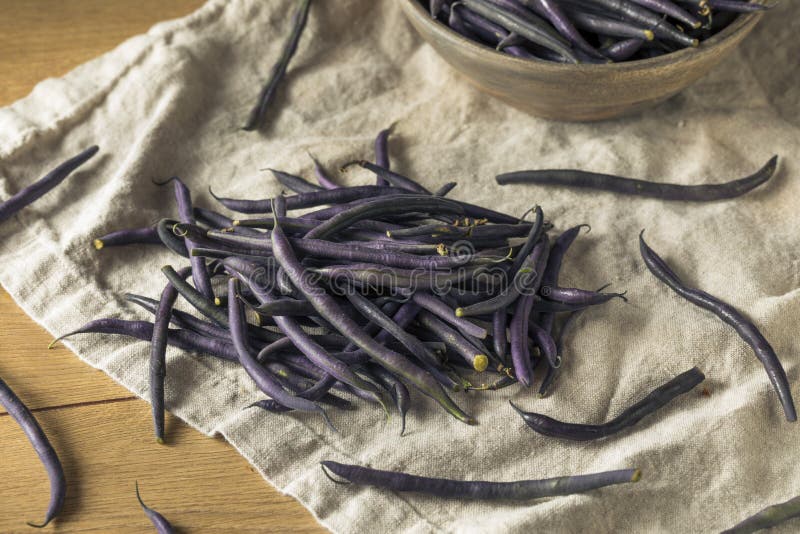 Raw Purple Organic String Beans Stock Photo - Image of agriculture ...