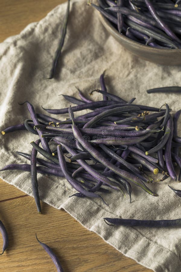 Raw Purple Organic String Beans Stock Image - Image of bean, diet ...