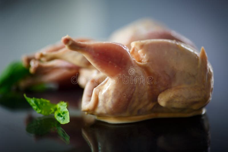 Isolated skinned rabbit stock photo. Image of muscle - 21909464
