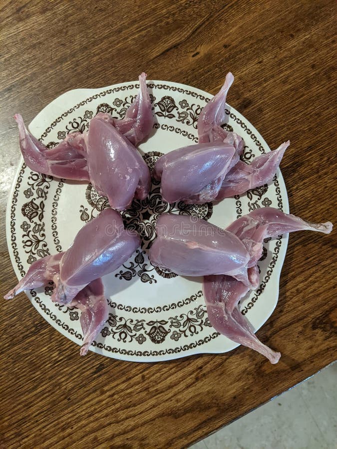 Raw quail meat on a plate stock image. Image of kitchen - 316238969