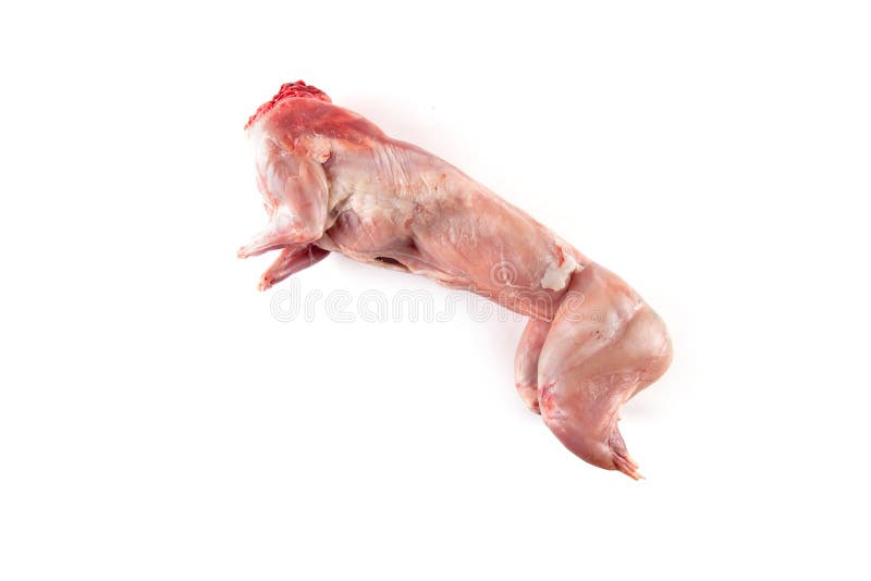 Raw rabbit carcass stock image. Image of bone, body - 108780975