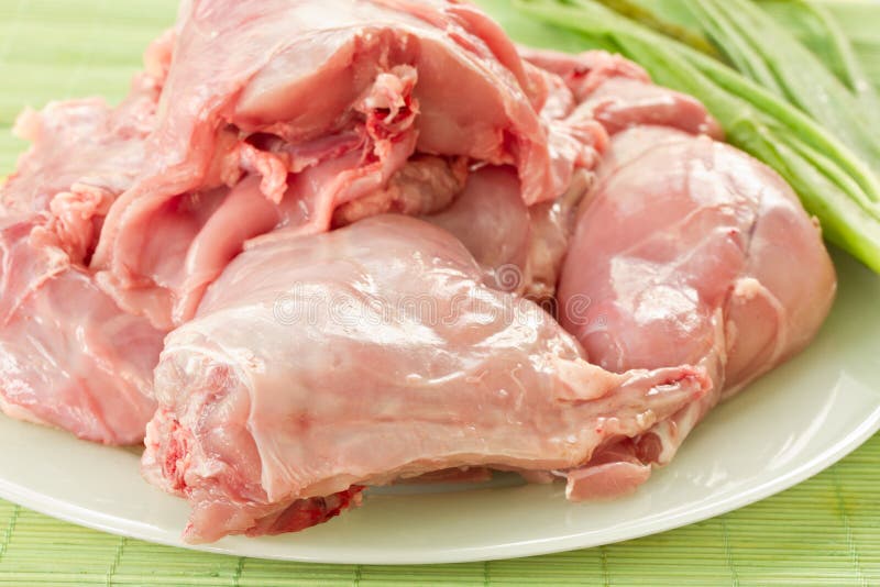 Raw rabbit meat stock photo. Image of lettuce, feet, closeup - 19563124