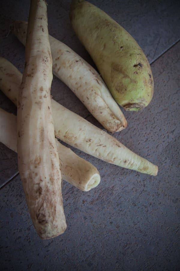 Raw radish stock image. Image of roots, white, crops - 72963139