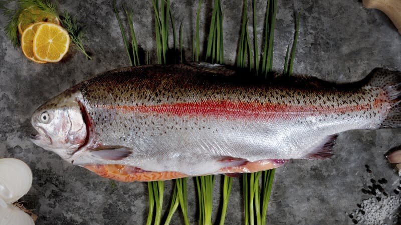 Raw Rainbow Trout Lying on the Table. Stock Image - Image of lemon ...
