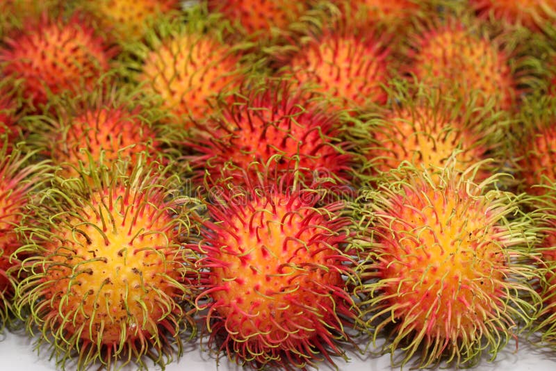 Asia fruit name rambutan stock photo. Image of ingredients - 2813718