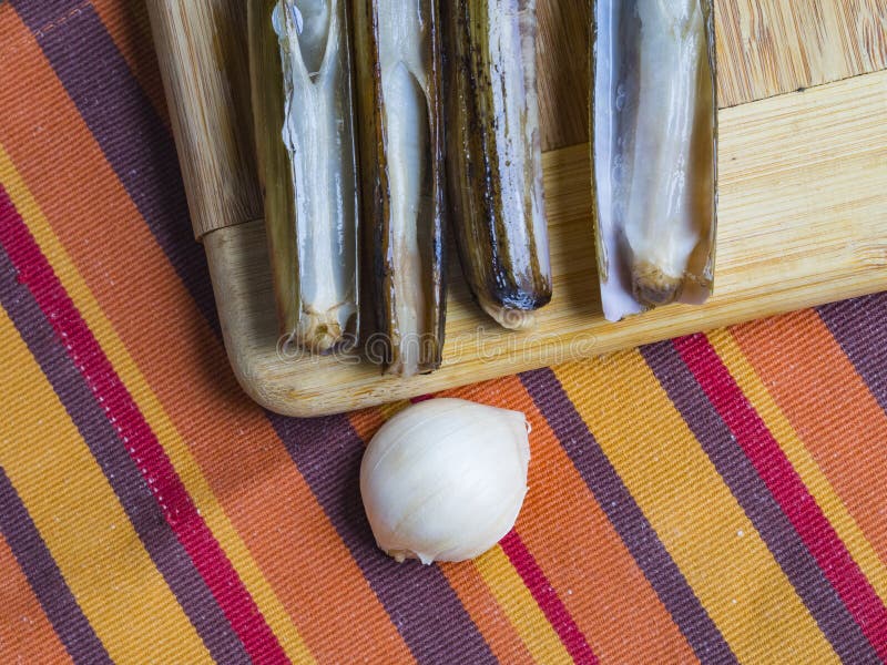 Raw razor clams stock image. Image of cuisine, food - 112029789