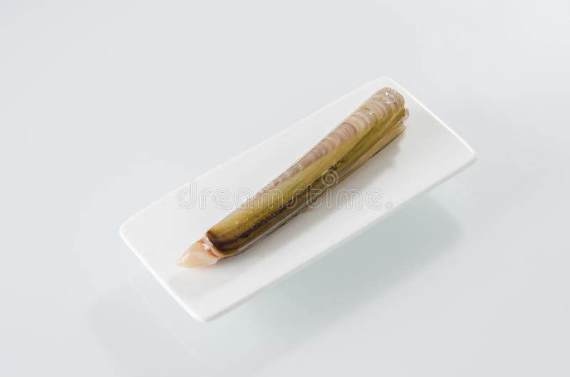 Raw Razor-shell on a White Dish. Stock Image - Image of healthy, food ...