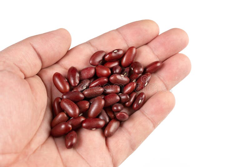 Raw Red Beans in the Hand Above White Background Stock Image - Image of ...