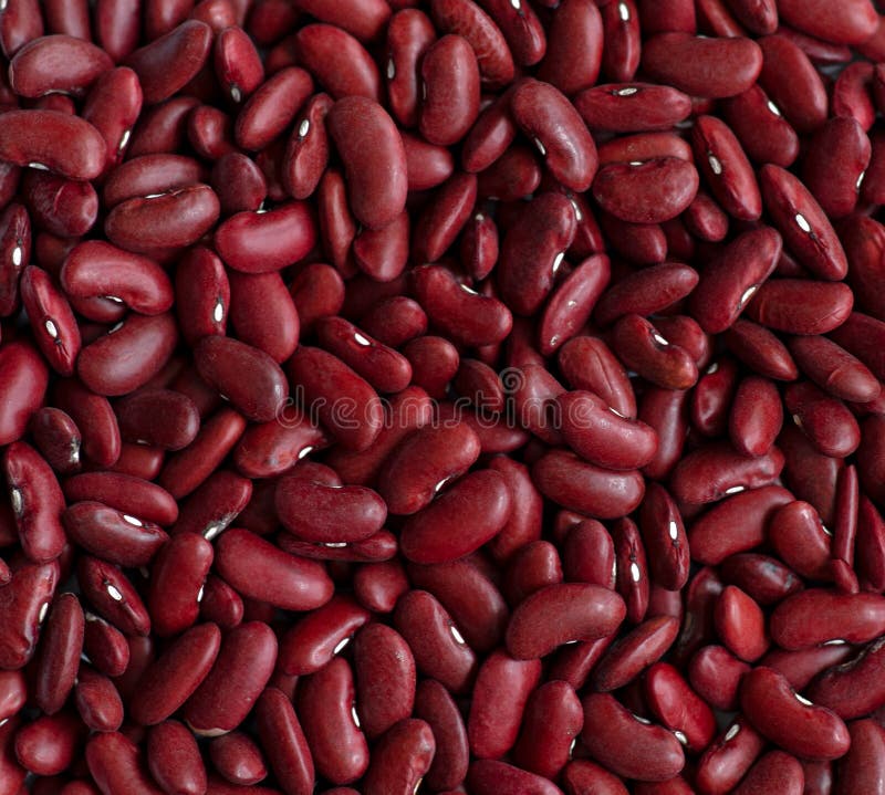 Raw red beans. stock photo. Image of bean, legumes, brown - 207771910