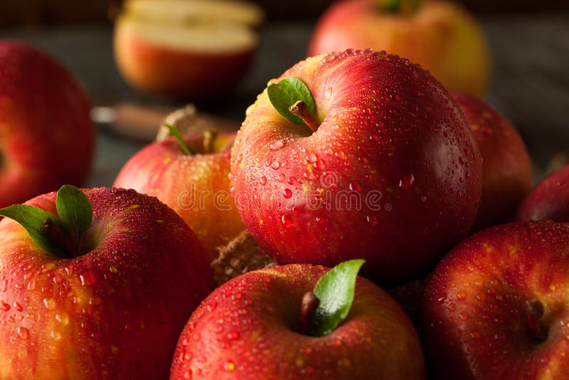 Raw Red Fuji Apples stock image. Image of produce, stem - 58582337
