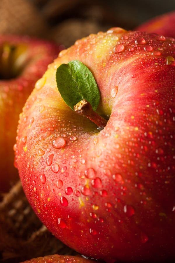 Raw Red Fuji Apples stock photo. Image of gala, food - 58582534