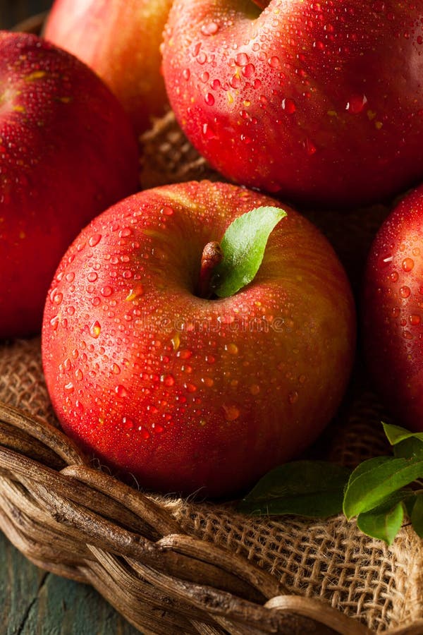 Raw Red Fuji Apples stock photo. Image of gala, food - 58582534