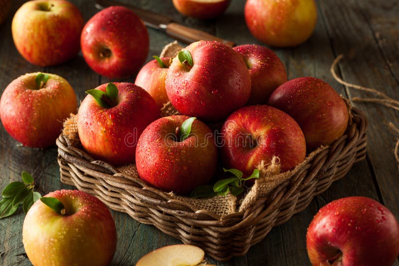 Raw Red Fuji Apples stock photo. Image of gala, food - 58582534