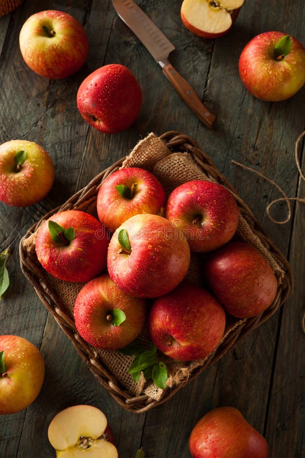 Raw Red Fuji Apples stock photo. Image of gala, food - 58582534