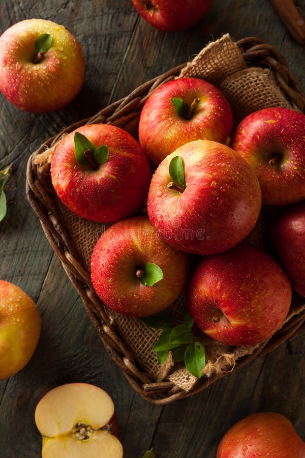 Raw Red Fuji Apples stock photo. Image of gala, food - 58582534