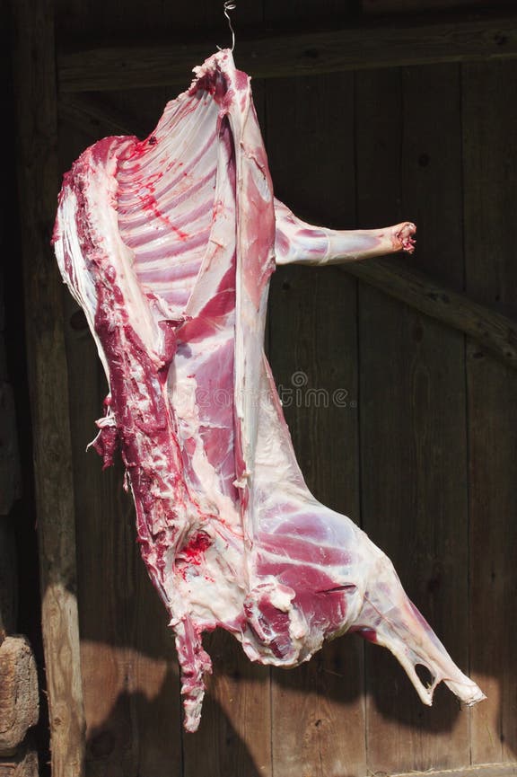 Raw Red Lamb Meat on a Hook Stock Image - Image of carcass, hanging ...
