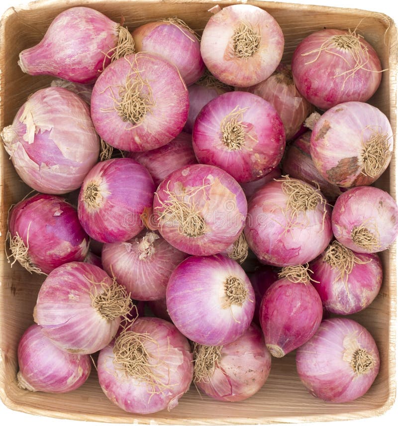 Raw Red Onion stock photo. Image of group, lilac, ingredient - 107552496