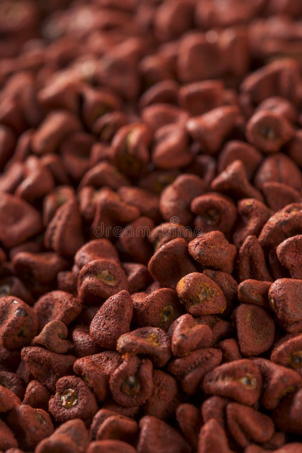 Raw Red Organic Annatto Seeds Stock Image - Image of achiote, cooking ...
