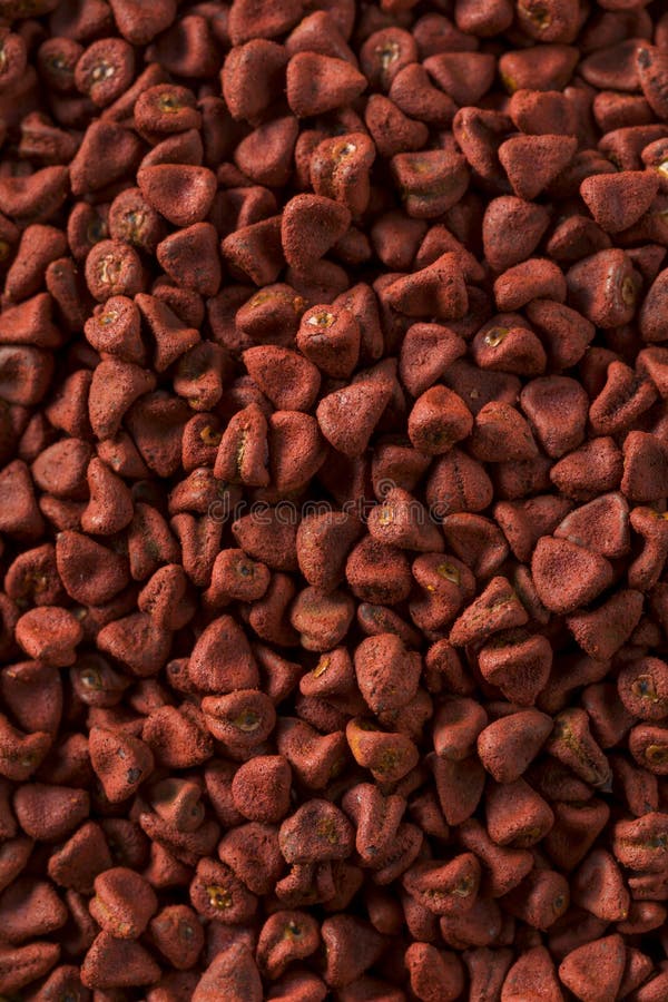 Raw Red Organic Annatto Seeds Stock Image - Image of cooking, ecology ...