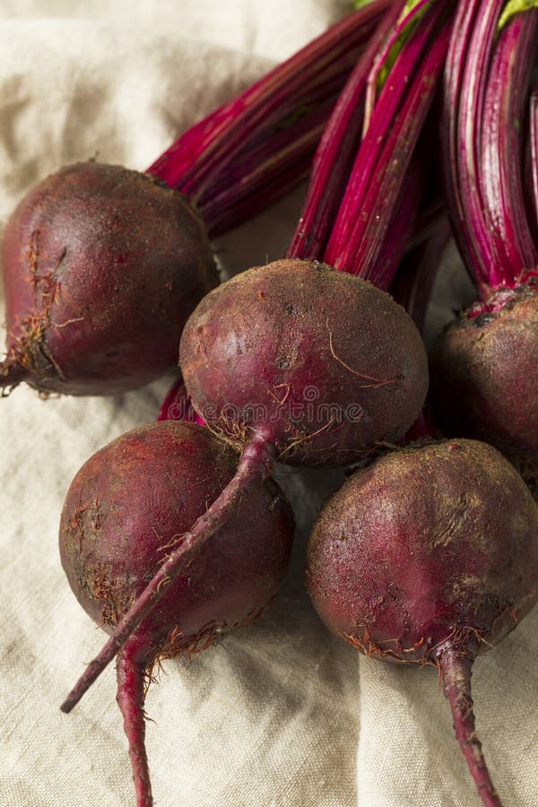 Raw Red Organic Beet Roots stock photo. Image of food - 126103846